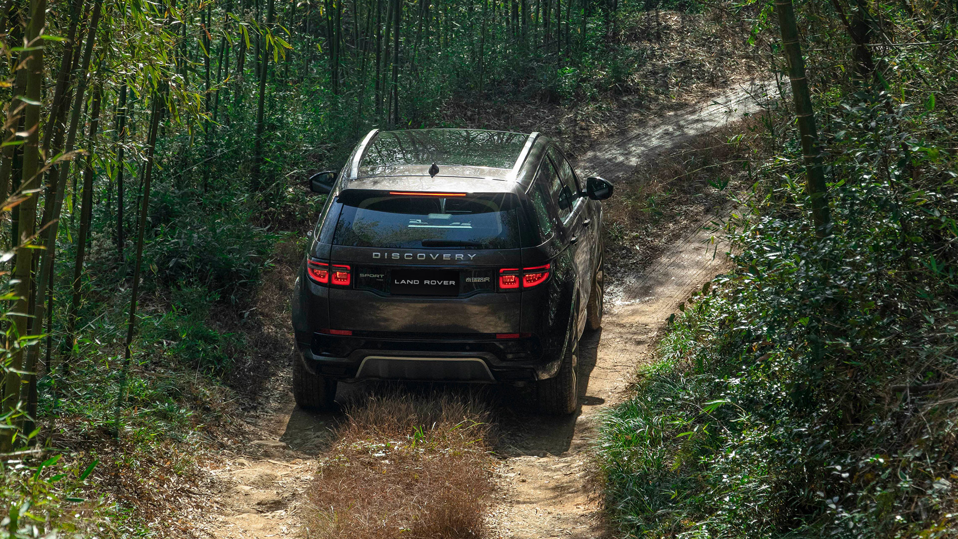 Decode the Extraordinary Decade, Explore 10 Strengths and ...